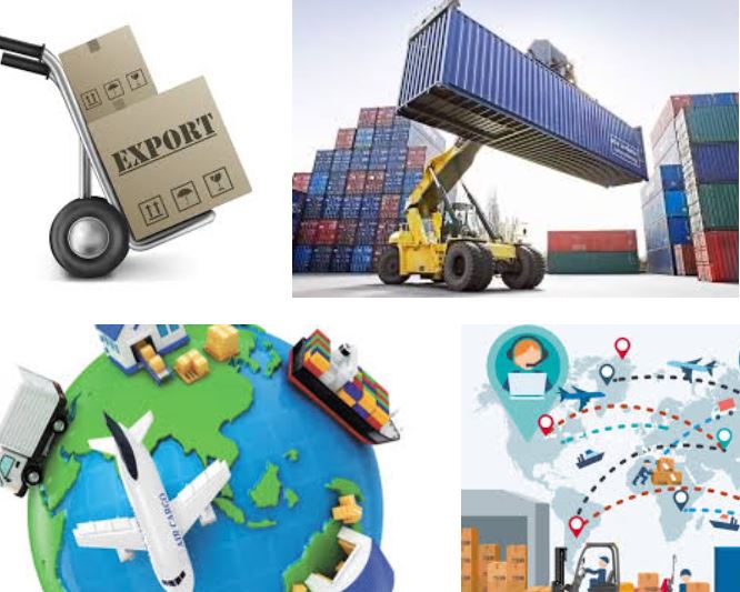 PASOS PARA LA EXPORTACION - Padrino Golfo