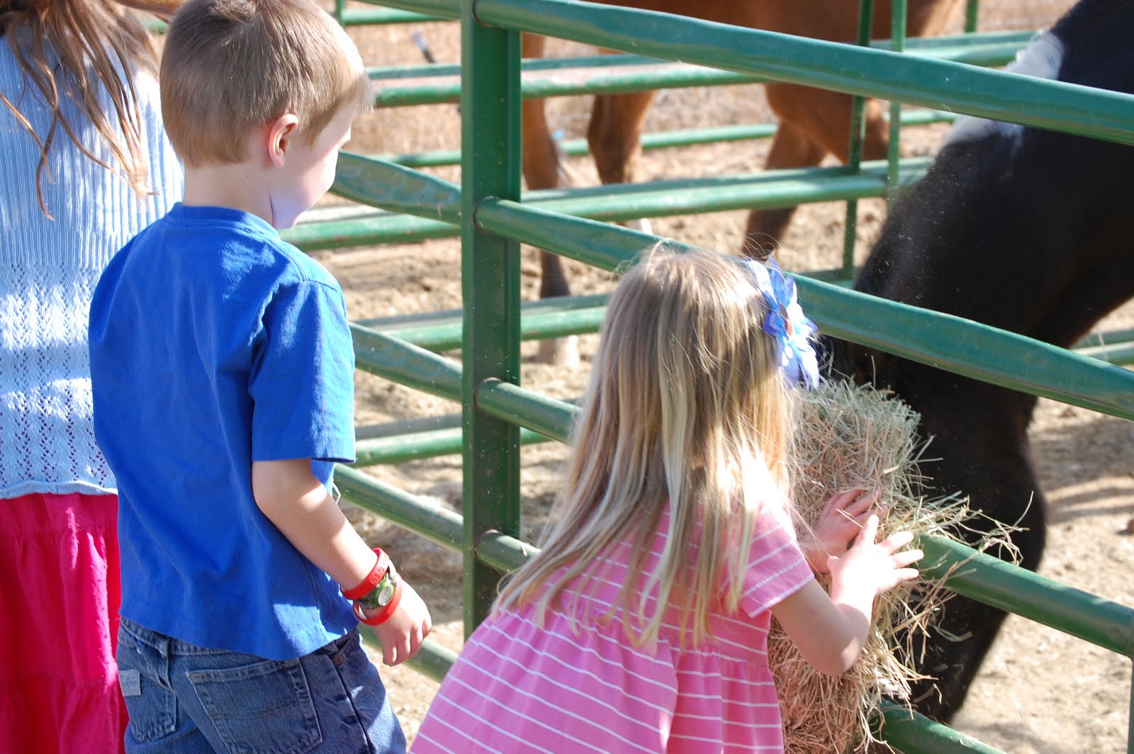 Playing Farm - In Real Life - Heather Haupt