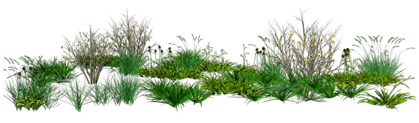 ® Imágenes y Gifs Animados ®: IMÁGENES DE ARBUSTOS