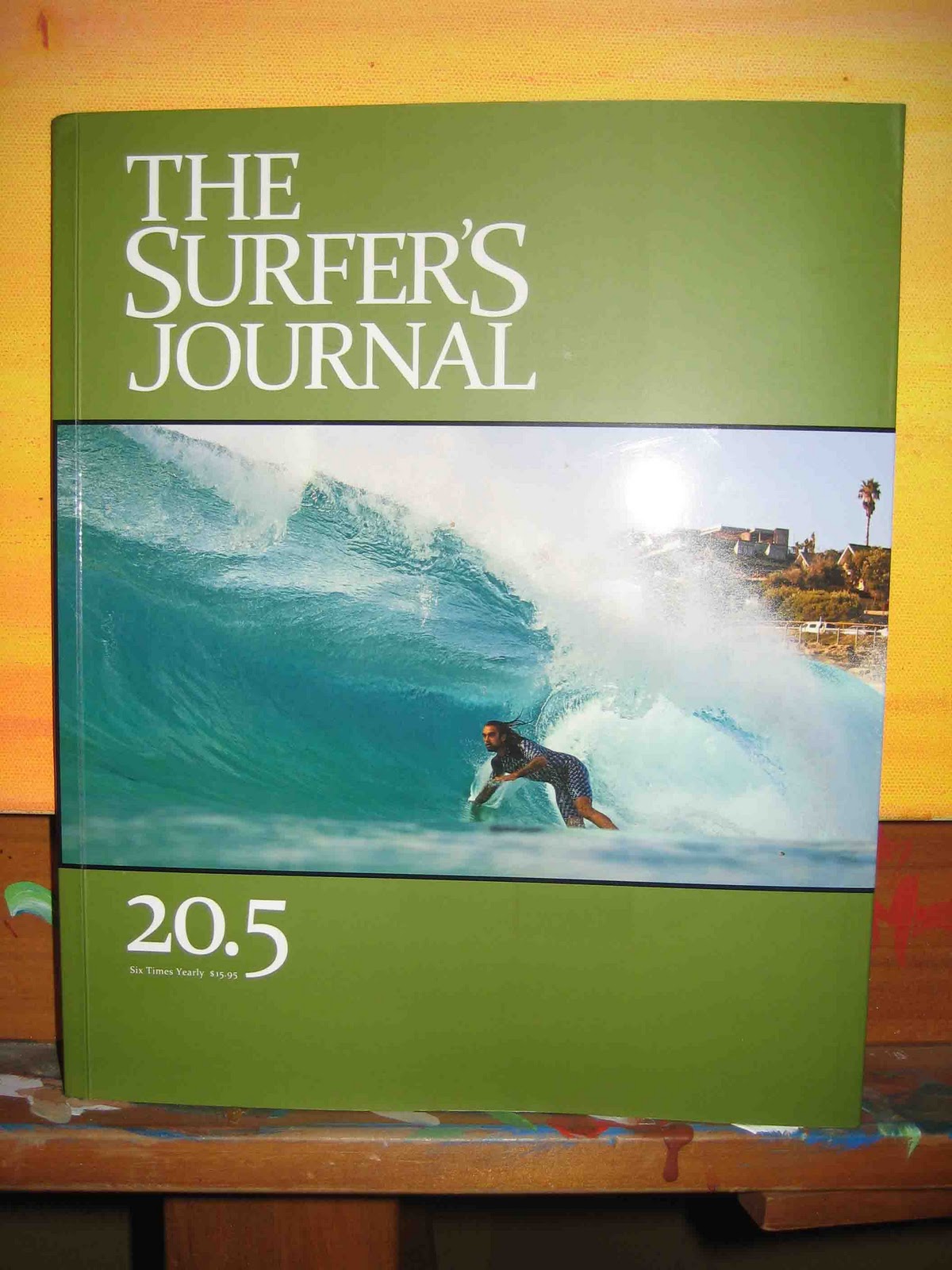 Vega Surfboards: Taylor Divine"s nice 2 page add in the new Surfer's ...