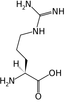 My Shadows: Tests for Proteins -2