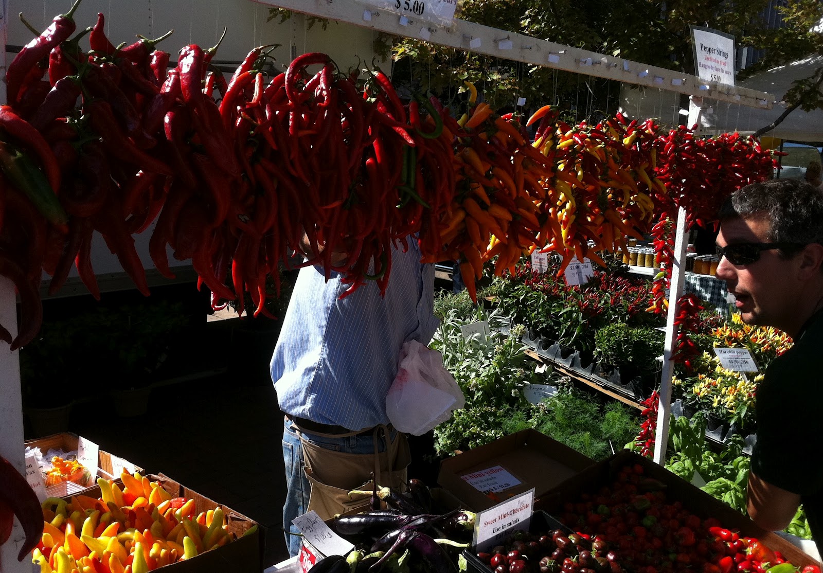 NA Confidential: Madison, WI: Pleasant memories of baseball, a Farmers ...