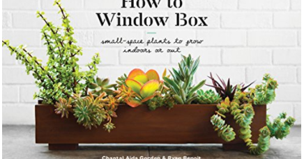How to Window Box | Our Good Life