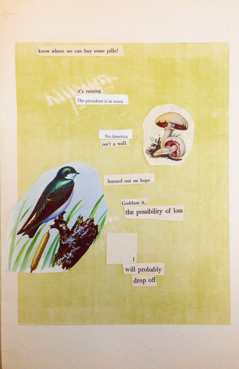 bloof books: news: Collage poems by Sandra Simonds (free PDF ebook)