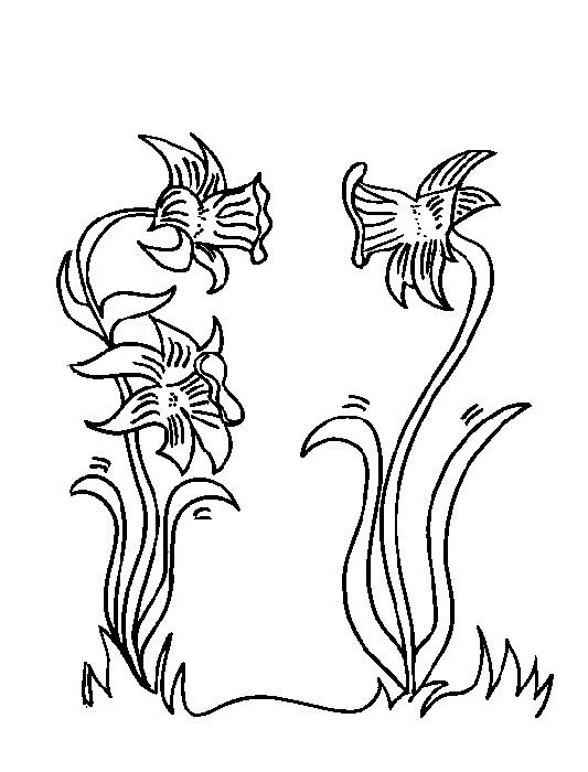 februarie 2013 :: Fise de lucru - gradinita