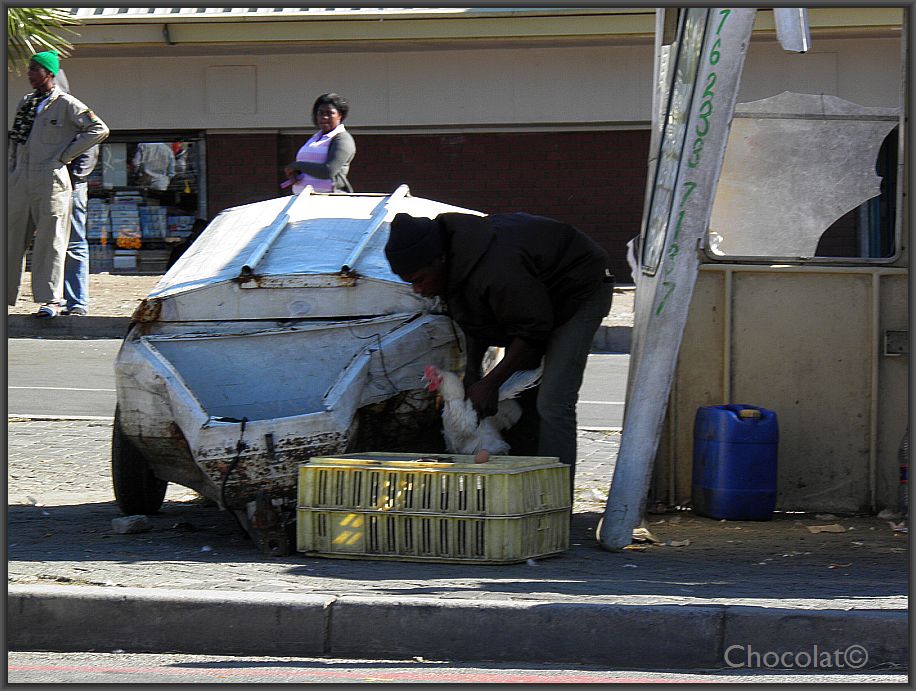The Mdantsane Way: Inkuku - Fresh Chicken