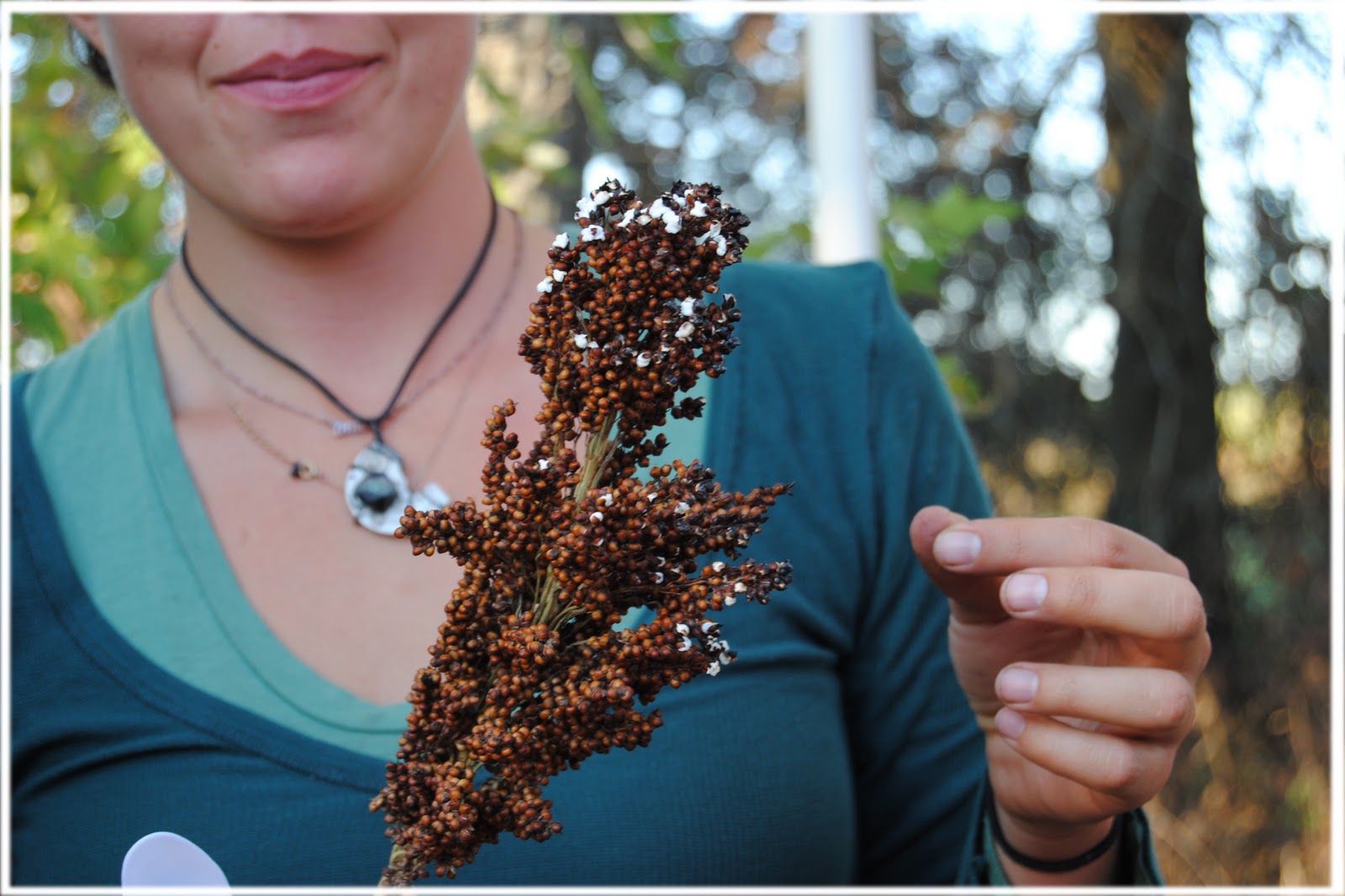 Butterfly Hill Farm: Popped Sorghum Grain