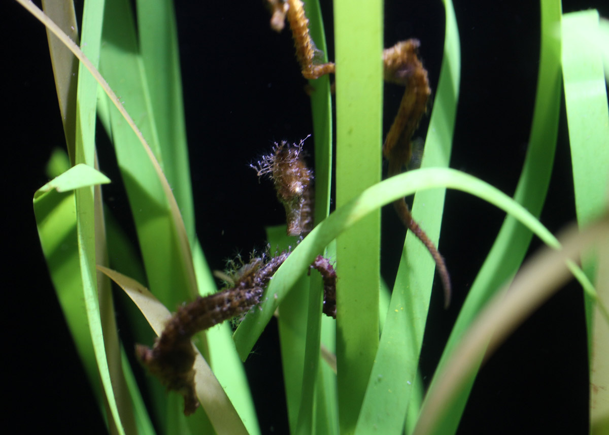 Exhibit Galleries Blog