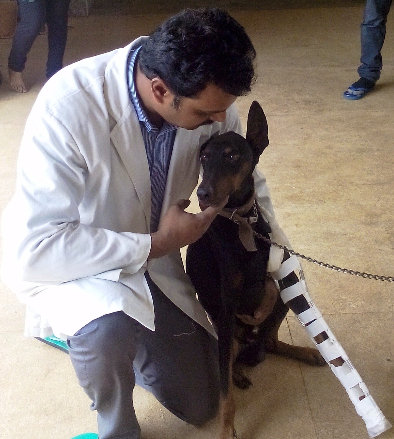 drssnairvet: MODIFIED SCHRODER THOMAS SPLINT FOR MANAGING ULNAR ...