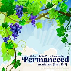 Principios Divinos: “PERMANECED”