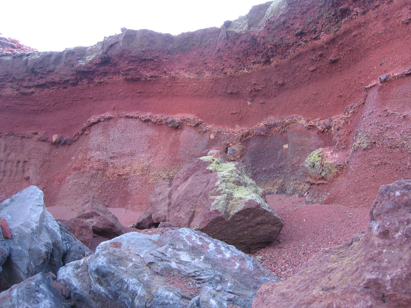 Tree Peeps: Iceland's Geography