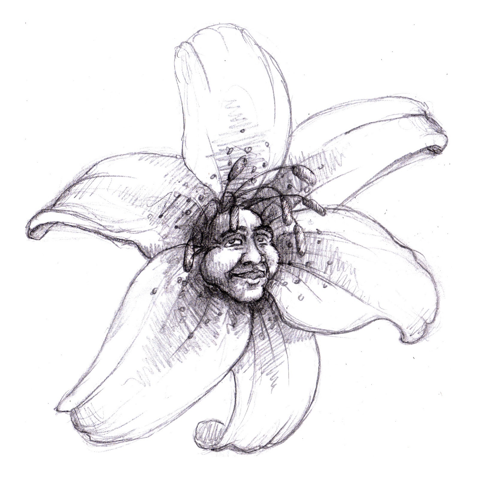 Magellin . Blog: A face in a flower