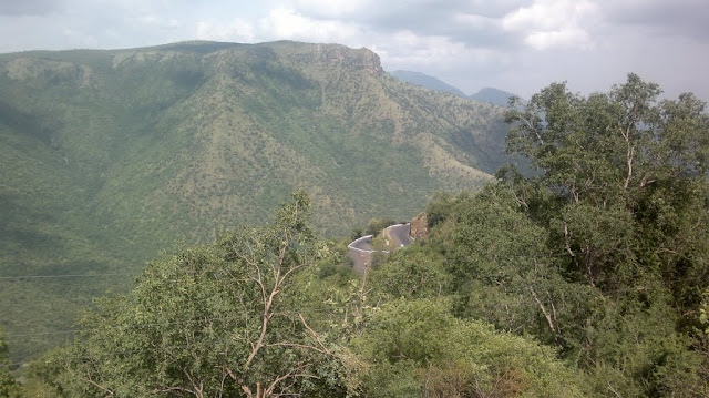 Tamilnadu Tourism: Sathyamangalam Wildlife Sanctuary and Tiger Reserve