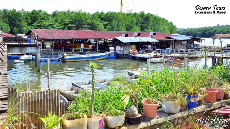 oh{FISH}iee: Kampung Sightseeing & River Cruise @ Pulai Desaru, Johor