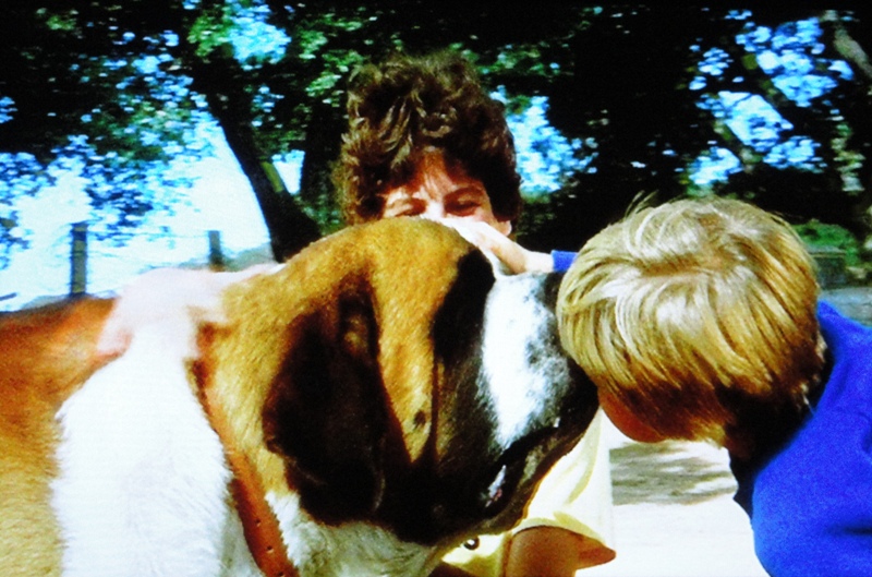 MUSINGS OF A SCI-FI FANATIC: Cujo