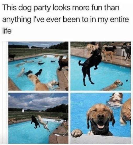 20 Hilarious Memes for People Who Don’t Know How to Act at Parties ...