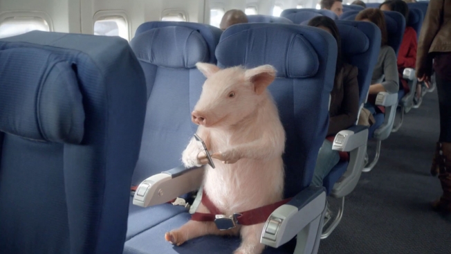 Who is that actor, actress in that TV commercial?: GEICO Mobile App ...