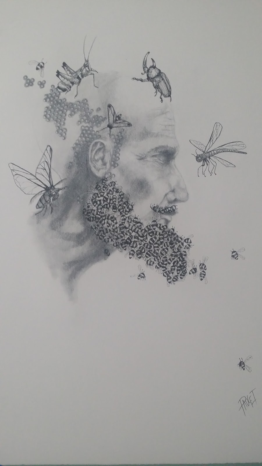 Pointy Bird Studio - Leesa Padget