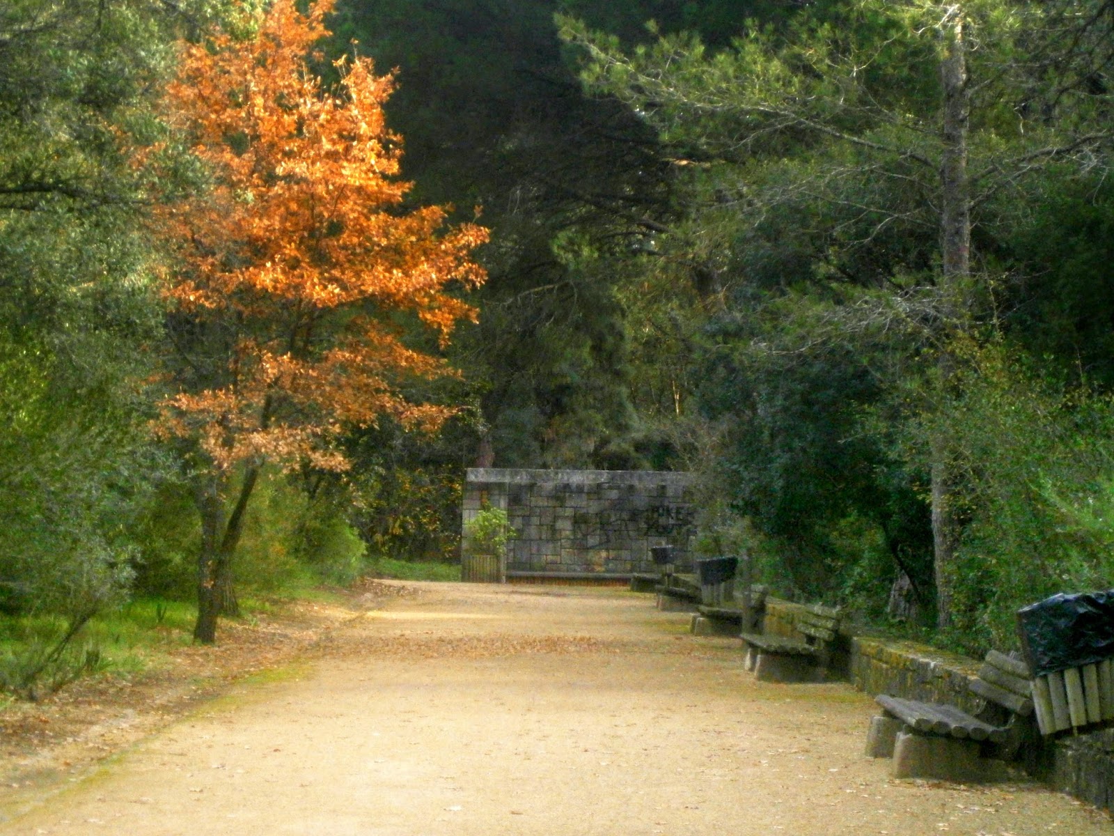 "Sua Maldade"...: Parque Florestal de Monsanto - Lisboa