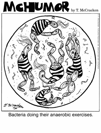 World of Biochemistry (blog about biochemistry): Cartoon about fermentation