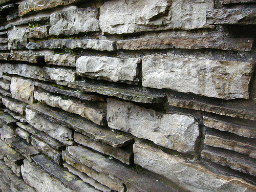 Fallingwater: Organic and Modern Architecture of Frank Lloyd Wright ...