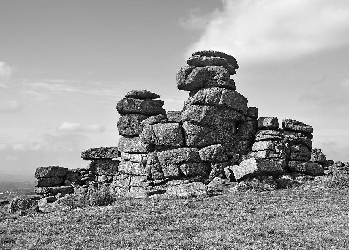 In the Company of Plants and Rocks: Of Woolsacks, Witches, Cheesewrings ...