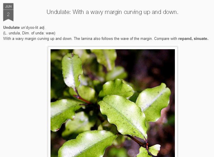 It's Not Work, It's Gardening!: Learning the lingo