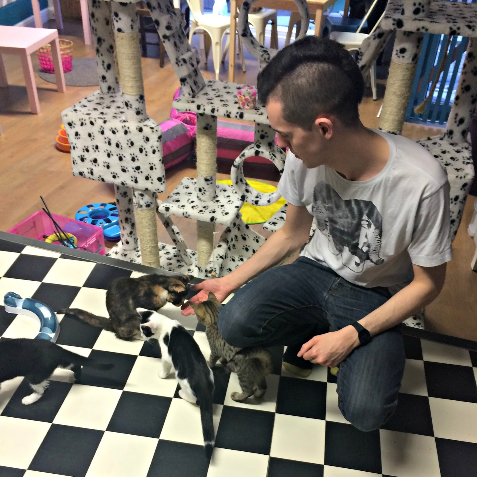 Mog On The Tyne : Days Out Guide - Keyne To Explore