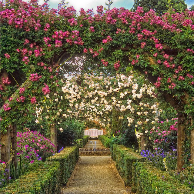 How to Recycle: Work with Nature