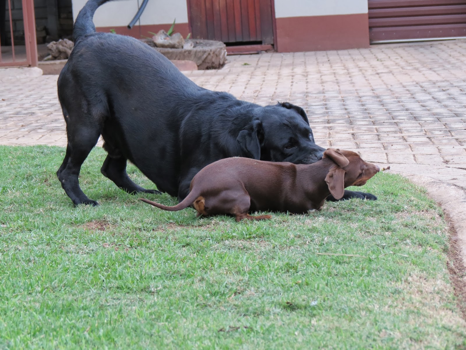 Kreatiewe Joernaal: Buite is lieflik!