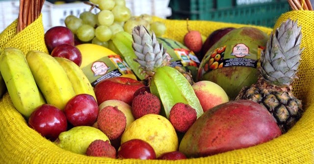 Terra Frutas Orgânicas: Um verão orgânico, com frutas da estação