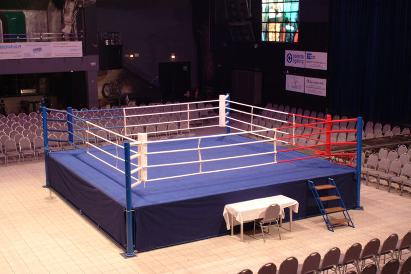 Zuma World: Zuma Fact: #144: Boxing ring!