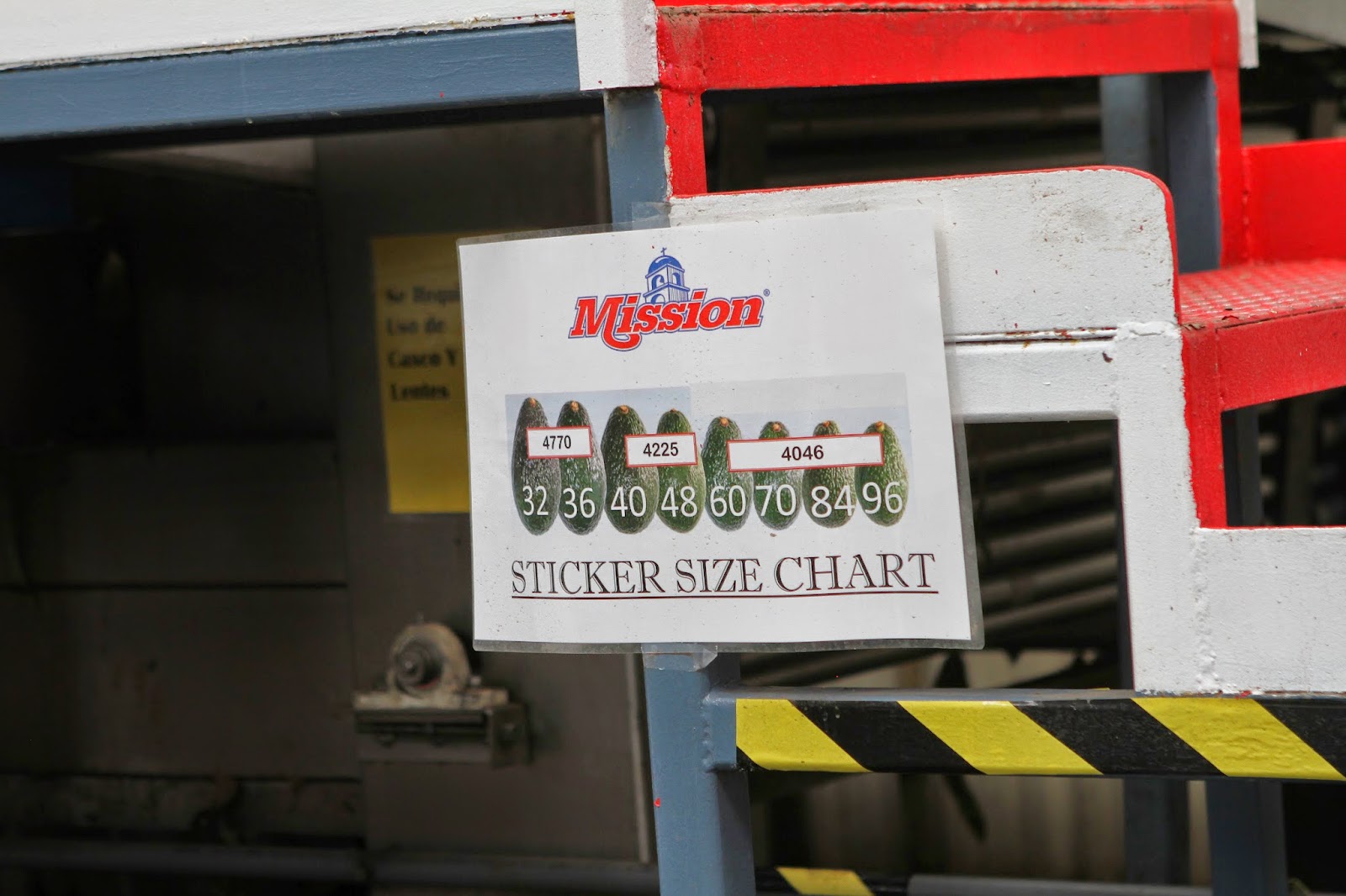 Travels by Tom: Mission Produce, Oxnard