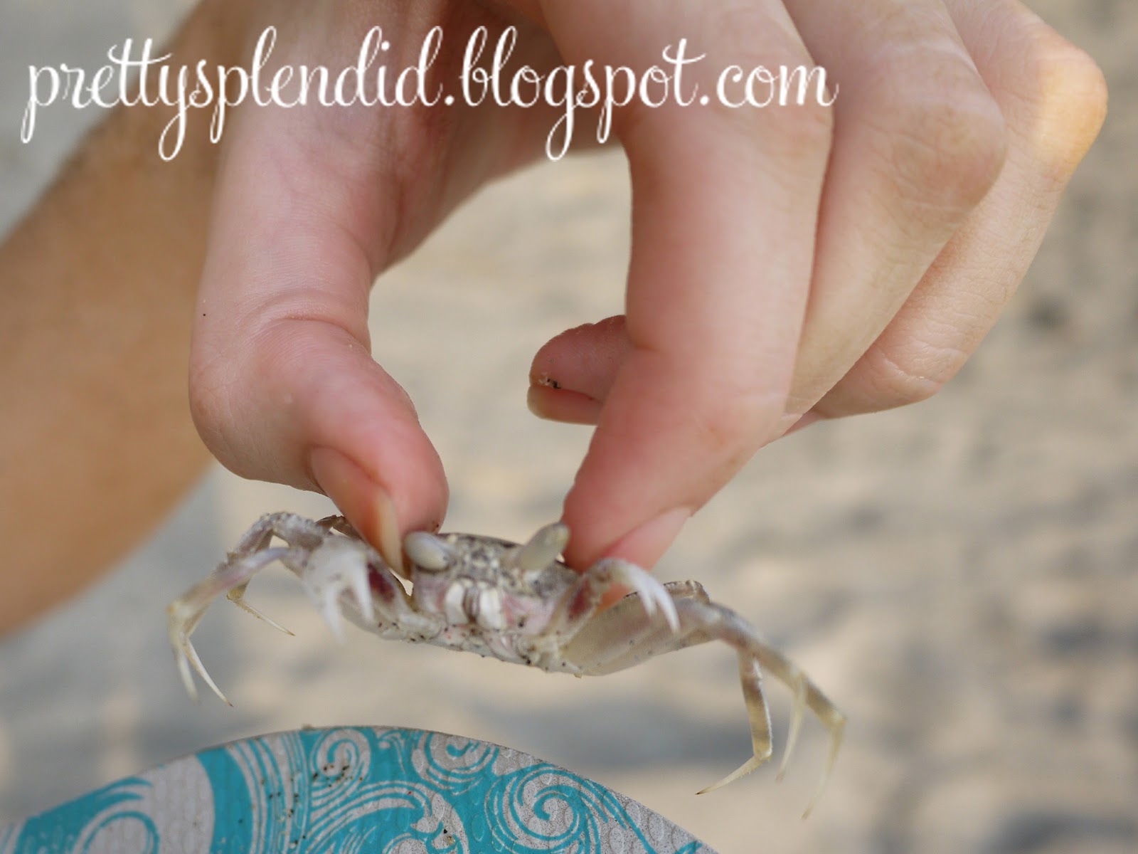 pretty splendid: My Favorite Beach in the Whole Entire World: Kawayan Cove