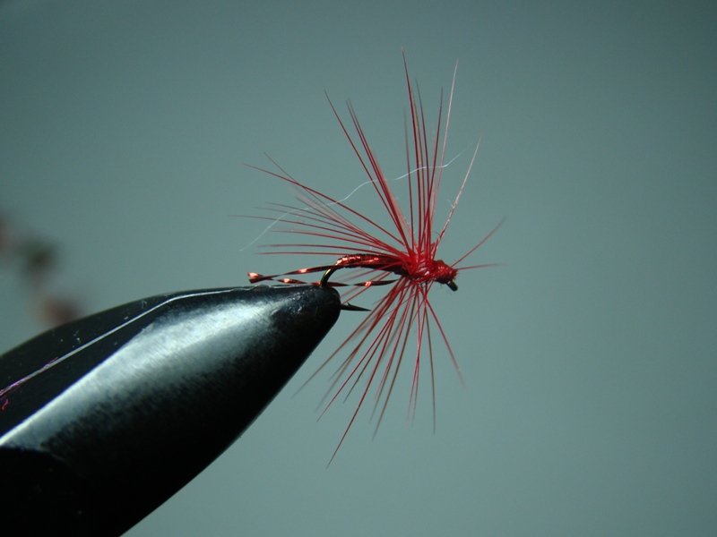 Pescuit cu musca artificiala: Taparina ROSIOARA