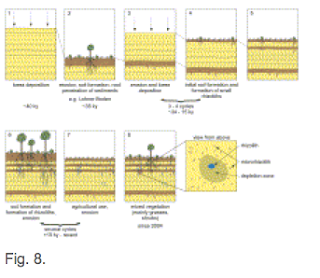The Dragon's Tales: Root Trace Fossils are new Tools for ...