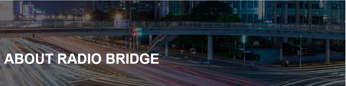 Radio Bridge: Top 5 Facts You Need To Know About A Wireless Temperature ...