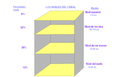 Sofía "IESHGLAVALL": LOS NIVELES DEL LINEAL