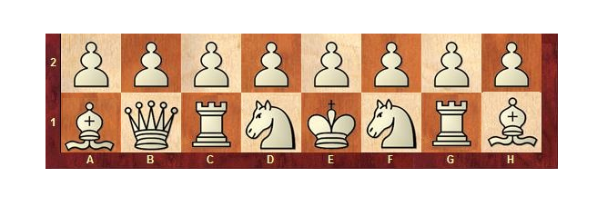 RANDOM CHESS 67 - Chess Forums - Chess.com
