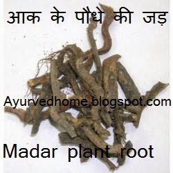 Ayurveda Home and Remedies with Nature: Elephantiasis or elephant leg ...