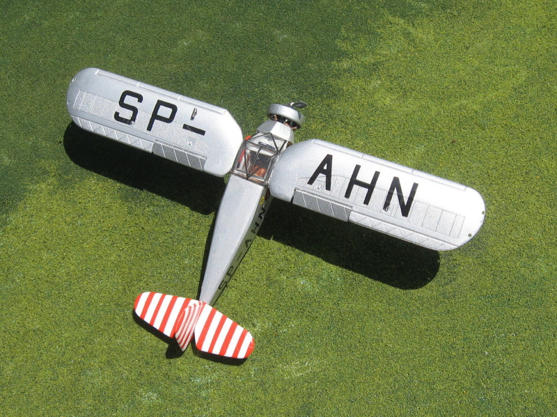 Wings of Intent: RWD-6 (ZTS "Plastyk" 1/72 scale) completed