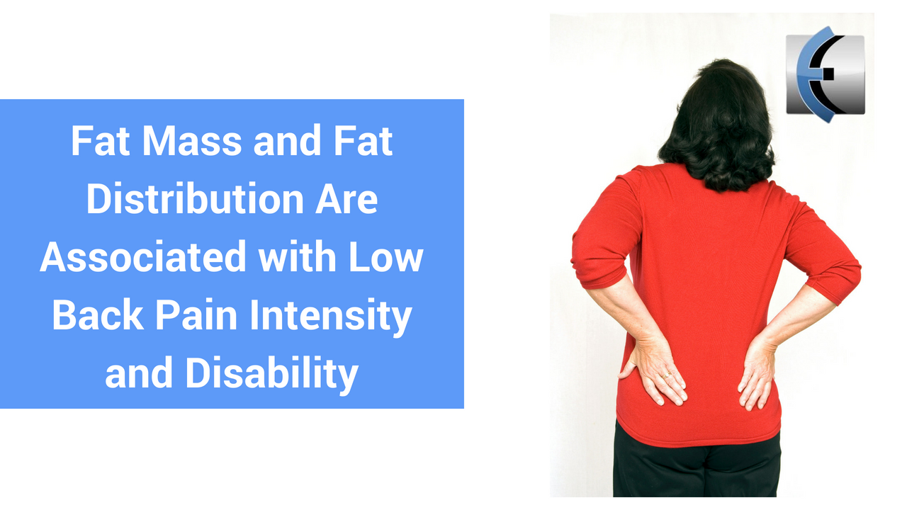 Fat Mass and Fat Distribution Are Associated with Low Back Pain ...