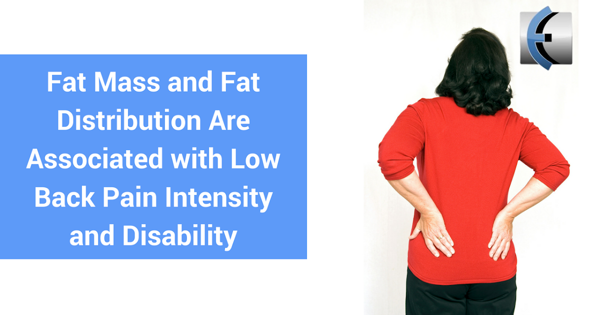 Fat Mass and Fat Distribution Are Associated with Low Back Pain ...