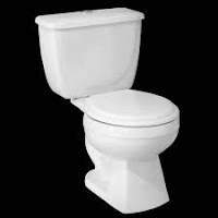 Como elegir la mejor taza de baño