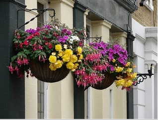 Home Decorations: How to decorate your home with artificial plants