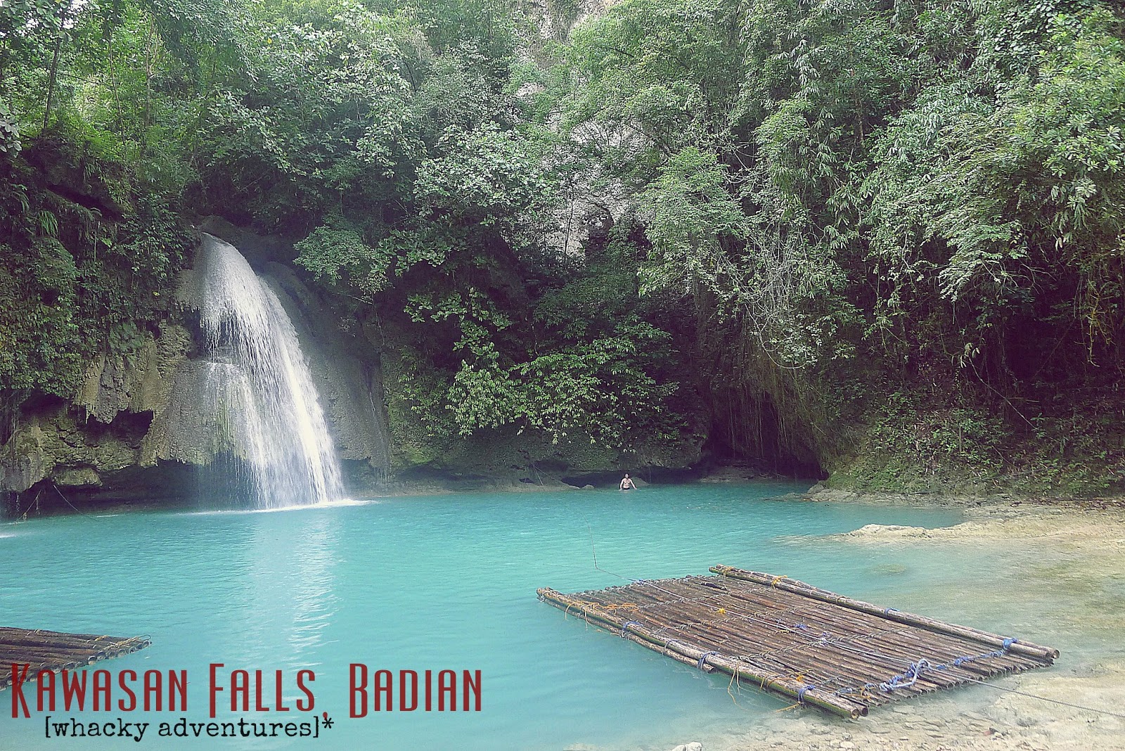 Whacky Adventures*: Whacky Photo: Enchanting Kawasan Falls, Badian