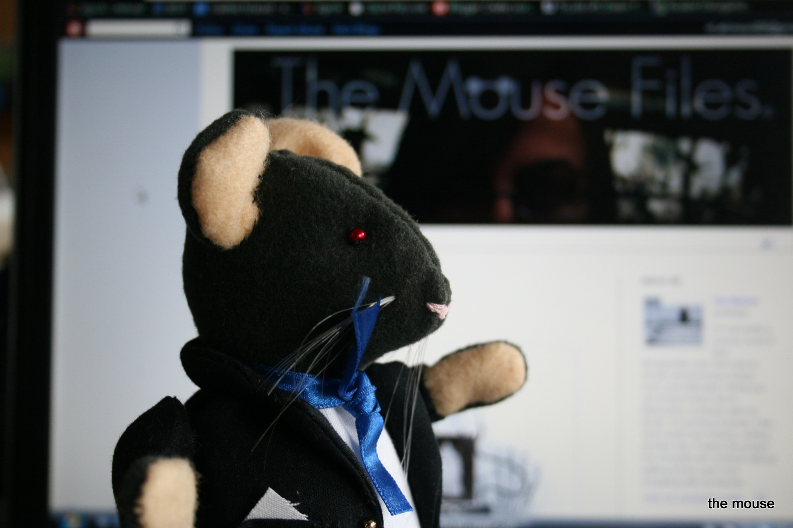 Introducing... | The Mouse Files