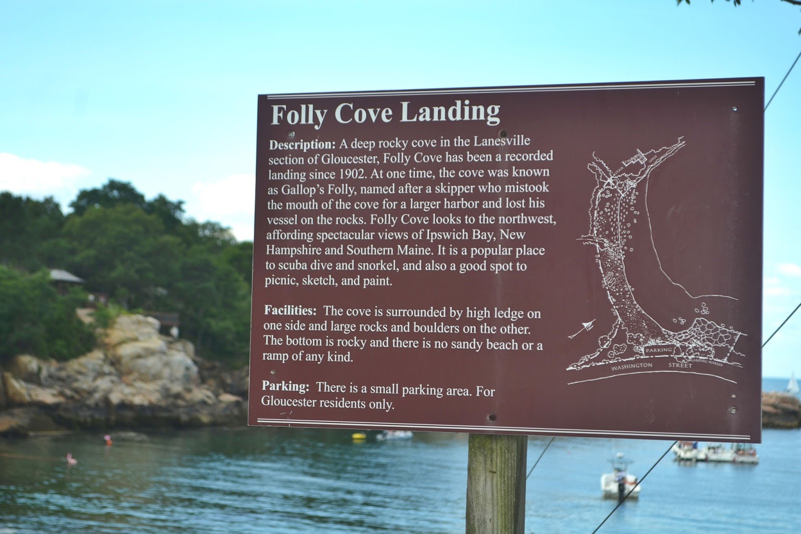 Katie Wanders : Diving Folly Cove- Gloucester, Massachusetts