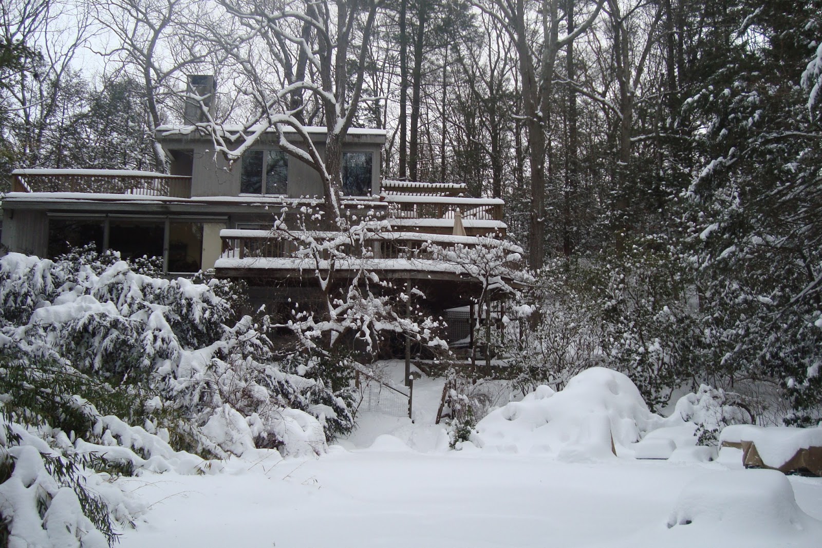 Jungle Red Writers: Winter...going, going...