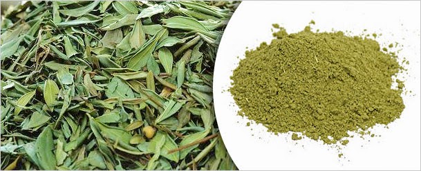 Oriental Costumes: Brief History of Henna